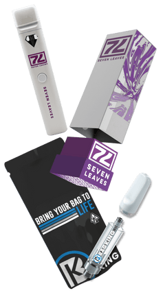 Premium Custom Vape Packaging | All In One Designs – Bag King